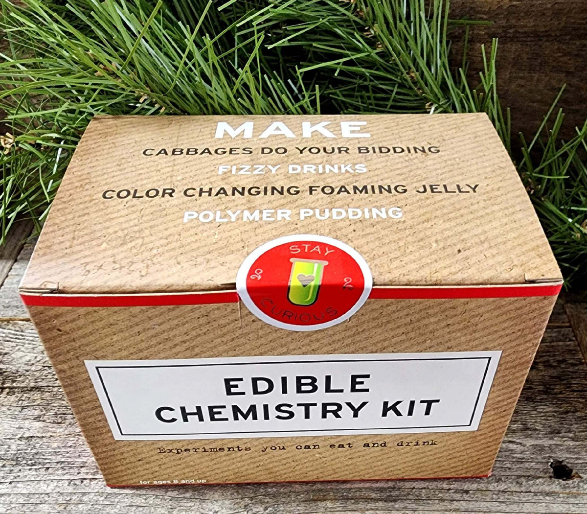 Edible Chemistry Kit – BuyMT
